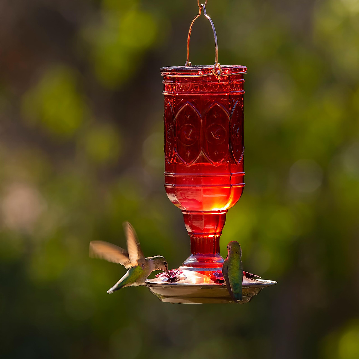More Birds Red Jewel Hummingbird Feeder, Glass Hummingbird Feeders for Outdoors, 5 Feeding Stations, 20 Ounces