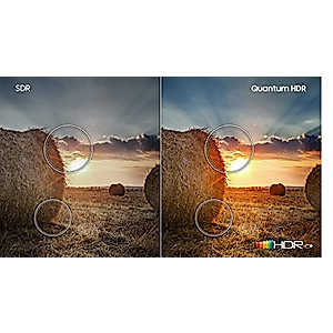 SAMSUNG QN43Q6DAAFXZA 43" 4K QLED Quantum HDR Smart TV with an Additional 1 Year Coverage by Epic Protect (2021)