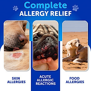 Artullano Dog Allergy Relief Chews - Dog Itching Skin Relief Treatment Pills - Itchy and Paw Licking - Anti-Itch Support - Immune Skin & Coat Supplement - Dry Skin and Hot Spots - 70 Treats