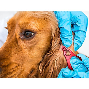 Tick Remover Tool 3 Pack, Suitable for Pets, Animals, and Humans, Portable Outdoor Living Essential Tick Remover Tools, Quick and Safe, and Reliable.