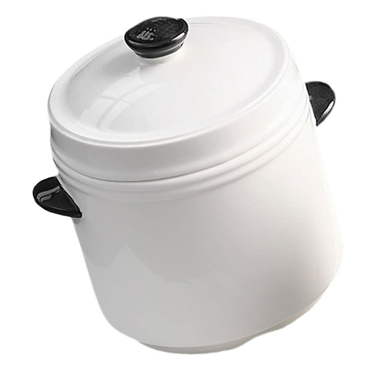 Hemoton Small Ceramic Stew Pot Stockpot Miso Soup Bowl with Lid Japanese Bowl for Bird Nest Tonic Dessert Noodle Soup Salad Pasta