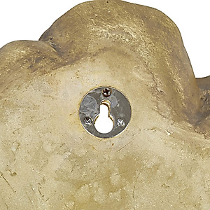 Sagebrook Home 11130-02 Flower Wall Plaque, Gold, 10x10x2.5