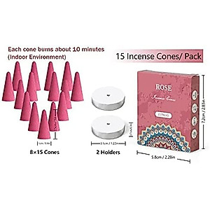 Incense Cones 120 Pcs, with Incense Holder, Mixed Natural Scents Deco Sandalwood Lavender Rose Sage Cinnamon Eucalyptus Rainforest Violet, 8 Assorted Boxes
