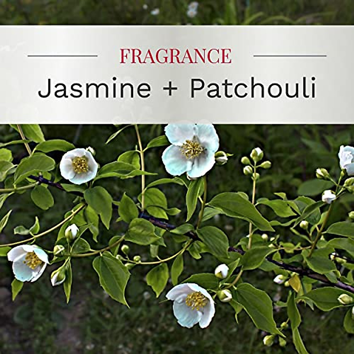 Essential Elements by Candle-lite Scented Candles, Jasmine & Patchouli Fragrance, One 9 oz. Single-Wick Aromatherapy Candle with 50 Hours of Burn Time, Off-White Color