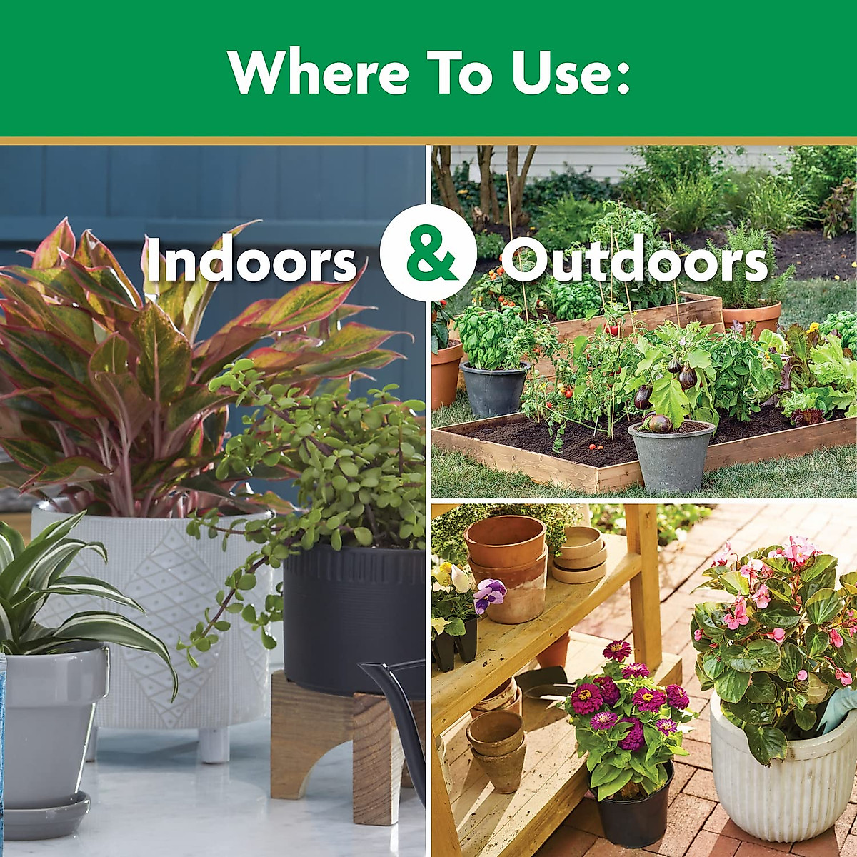 Miracle-Gro Water Soluble All Purpose Plant Food, 24-8-16, Instantly Fertilizes Plants, Waterproof Bag - 5.5 lb., 2-Pack