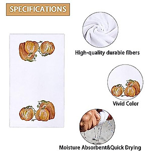 Secarond Fall Pumpkin Kitchen Dish Towel 18 x 28 Inch Set of 2, Autumn Harvest Thanksgiving Pumpkins Farmhouse Holiday Tea Towels Dish Cloth for Cooking Baking