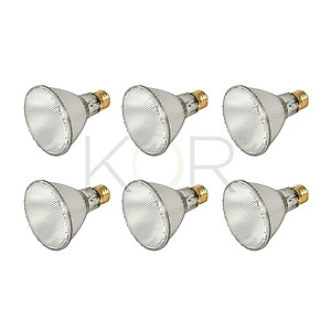 (Pack of 6)60PAR30L/FL 120V - 60 Watt High Output (75W Replacement) PAR30 Long Neck Flood - 120 Volt Eco Halogen Light Bulbs - Dimmable - Indoor/Outdoor Use