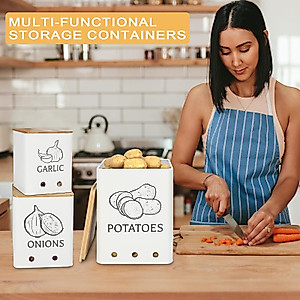 Moondust Wj 3 Pack Vegetable Storage Tins，Potatoes Storage，Metal Onion and Potato Storage Bins，Kitchen Potato and Onion Storage Bin，Onion Storage Containers with Aerating Holes and Wooden Lid.