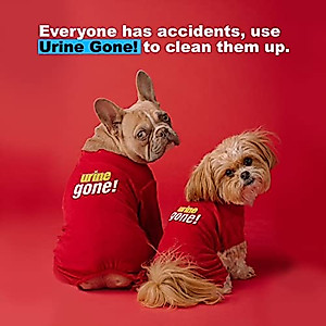 Urine Gone ProClean Stain and Odor Remover, Multi-Surface, Eliminates Tough Dog Cat People Stains, and Odor on Wood, Carpet, Vinyl, and Tile Floors, 20 Fl Oz