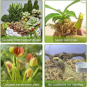 Legigo Natural Sphagnum Moss Potting Mix- Carnivorous Plant Moss Dried for Sarracenia Orchid Gardening Plants 2 Quart Sized Bag(Appx.3oz)