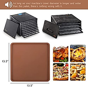 6Pcs Silicone Dehydrator Mats with Edge for 14" x 14" Trays Compatible with Excalibur Dehydrator, - Nonstick Silicone Drye Sheets Multi-purpose Reusable for Jerky, Fruit, Meat, Herbs, Vegetables, Cracker…