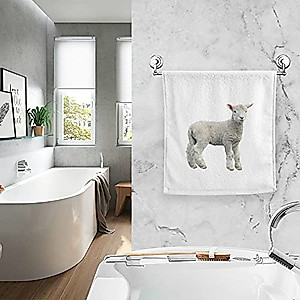 ALAZA Cute Sheep Lamb Animal Print Towels 100% Cotton Hand Towel for Bathroom 16 x 30 inch, Absorbent Soft & Skin-Friendly, 2 Pieces, Multicolor