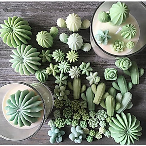 Navani 9 Pack Succulent Silicone Mold,Flower Resin Mold,Silicone Candle Molds.3D Cacti Candle Mold Silicone for Scented Candles Soaps Making, Wax, Resin Casting,Soap Cake Dessert Mousse Mold (A)