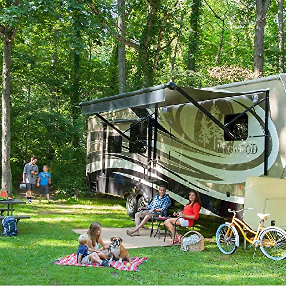 Solera Lippert Replacement Power Awning Motor with Dual Connectors, 12-Volt DC, 75-RPM, Fits Short, Flat or Pitched Awnings on 5th Wheel RVs, Travel Trailers, Motorhomes - 266149