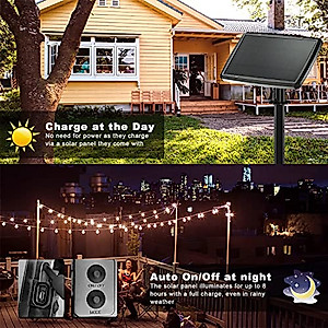 DAYBETTER 100ft Solar Outdoor String Lights Waterproof, ST38 Globe Led Patio Lights with 24 Edison Bulbs, Weatherproof Plastic Outdoor Lights for Yard Porch Bistro