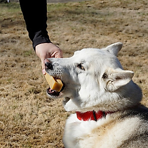 KATHMANDU'S Authentic Yak Cheese Himalayan Dog Chews - All Natural and Protein-Rich Nutrition Dog Treats, Long Lasting Chews for Aggressive Chewers, Odor & Gluten Free Yak Chew | Large (Pack of 2)