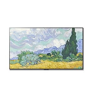 LG OLED77G1PUA G1 77 inch Class with Gallery Design 4K Smart OLED evo TV w/AI ThinQ Bundle w/ 1 Free Additional Year Extended Warranty Authorized Dealer