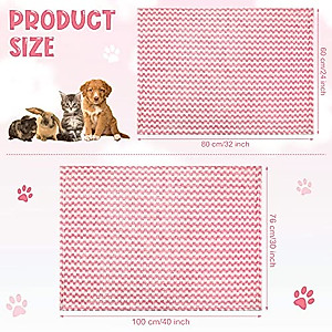 4 Pack Guinea Pigs Blankets 30 x 40 Inch Hamster Fleece Cage Liners Soft Guinea Pig Accessories Small Animal Pet Blanket Sleep Bedding Mats Pet Supplies for Dog Puppy Cat