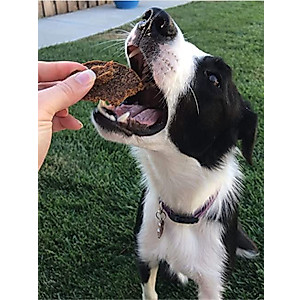 Superior Farms Pet Provisions Lamb Lung Dog Treats | All Natural Dog Snacks from Our Farms | Real Protein Dog Chews | 100% Lamb. (Lung Fillets (8 oz.))