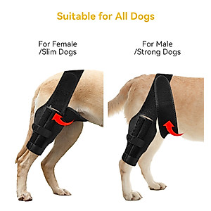 soundfuse Dog Knee Brace, Leg Brace for ACL with Cruciate Ligament Injury, Joint Pain and Muscle Sore, Adjustable Rear Support for Knee Cap Dislocation, Pet Knee Brace Recommended for Big Dog(Size: L)