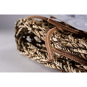 PENN-PLAX Reptology Lizard Lounger – 100% Natural Seagrass Fiber – Great for Bearded Dragons, Anoles, Geckos, and Other Reptiles – Extra Large