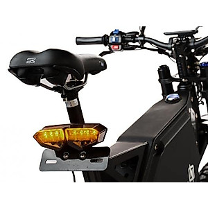 DELFAST Top 3.0 e-Bike | Pedal Assisted Offroad Electric Bike with Steel Frame, 2V 48AH Fast-Charge LG Lithium Battery, 200 Mile Max Range on Single Charge