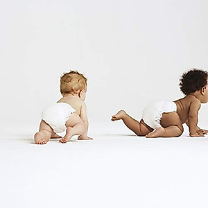 Babo Botanicals Soothing Baby Diaper Cream - with Non-Nano Zinc Oxide, Colloidal Oatmeal & Organic Calendula - Safe for Sensitive or Dry Skin - Vegan, Preservative & Mineral Oil Free - 3 oz