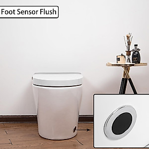 Greenspring Smart Toilet with Bidet Built in and Heated Seat Toilet with Warm Water Sprayer Dryer and Foot Sensor Operation