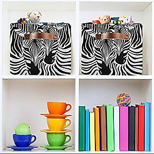 Storage Basket Cube Animal Zebra Print Large Collapsible Toys Storage Box Bin Laundry Organizer for Closet Shelf Nursery Kids Bedroom,15x11x9.5 in,1 Pack