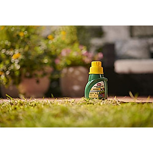 Ortho MAX Garden Disease Control Concentrate, 16 oz.