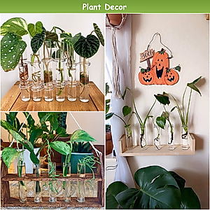 40 Pack Clear Plastic Test Tubes, 110 ML Flat Test Tubes with Screw Caps, Plastic Test Tube Container for Bath Salts, Candy Storage, Scientific Party, Plant Propagation