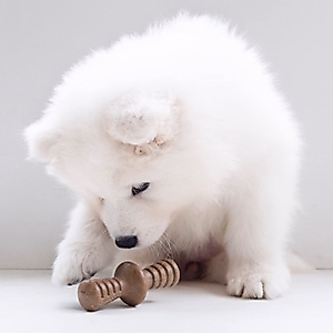 Benebone Puppy 2-Pack Maplestick/Zaggler Durable Dog Chew Toys for Gentle Chewers, Real Bacon, Real Maplewood, Made in USA, Tiny