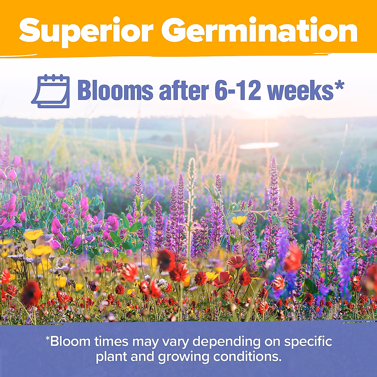 HOME GROWN Midwest Wildflower Seeds Mix 4oz | 65,000 Non-GMO, USA Sourced, High Germination Rate | Heirloom Pollinator Flowers Seed Mix | Wild Flower Seeds Bulk | Covers 500 sq. ft.