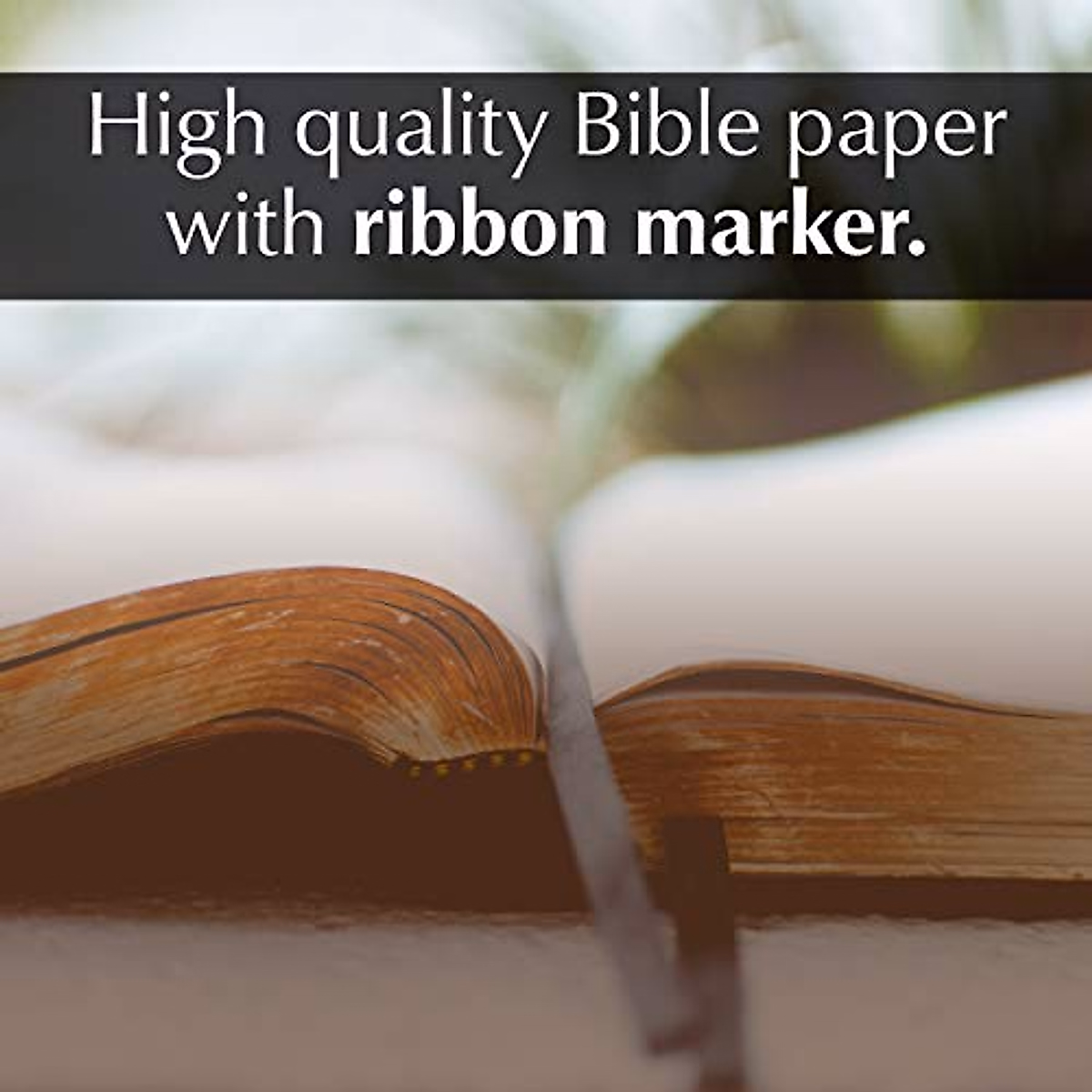 The Passion Translation New Testament, Peony (2nd Edition, Hardcover) – In-Depth Bible with Psalms, Proverbs, and Song of Songs, Makes a Great Gift for Confirmation, Holidays, and More