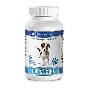 PET SUPPLEMENTS Hip and Joint Dog Treats - Hip & Joint Support - for Dogs - Chewable - Dog glucosamine Chews - 1 Bottle (120 Chewable Tablets)