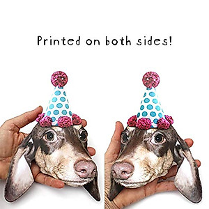 Dachshunds Garland, dog birthday party decoration banner, Made in USA, Best Quality