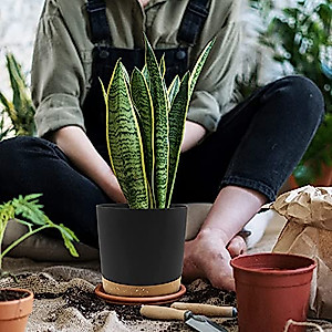 QCQHDU Plant Pots Set of 2 Pack 8 inch,Planters for Indoor Plants with Drainage Holes and Removable Base,Saucer Modern Decorative for Outdoor Garden Planters(Dark Grey 8in)