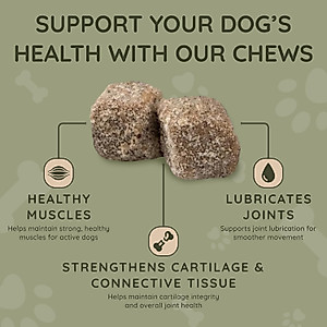 Asher House Wellness Hip and Joint Supplement for Dogs - Natural Soft Chew with MSM, Chondroitin, Glucosamine, Vitamins - Promotes Joint Health & Pain Relief Senior & All Dog Breeds, Large, 120 Chews