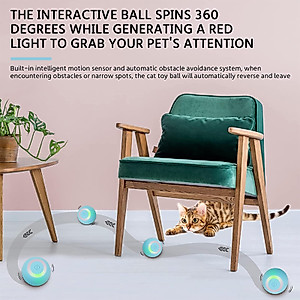 Found Notice Cat Ball Toy, Interactive Cat Toys, Automatic Motion Activated Moving Ball Hide and Seek Game for Indoor Exercise，Gifts for Kittens