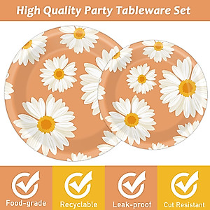 gisgfim 96 Pcs Daisy Flower Party Supplies Paper Plates Napkins Groovy Daisy Party Birthday Tableware Set Daisy Theme Decorations Favors for Girls Baby Shower Wedding Bridal Serves 24