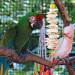 balacoo Bird Cuttlebone Cuttlefish Bones with Bell Beak Stone Parrot Beak Grinder Desalting Toy Cuddle Bone Pet Training Calcium Chew Molar Toy Hanging 25CM