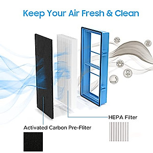 Aer1 Filter Replacement for Holmes Air Purifiers, 2 True HEPA Filters + 4 Carbon Booster Filters, HAPF30AT