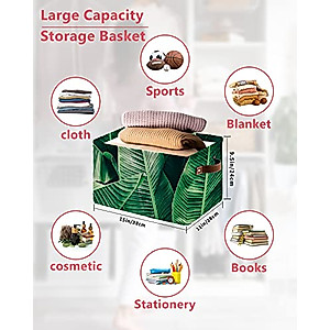 Storage Basket Summer Green Banana Leaves Storage Bin with Handles, Tropical Nature Plant Collapsible Organizer Storage Cubes Bins for Closet, Laundry Clothes, Bathroom, Nursery Toys