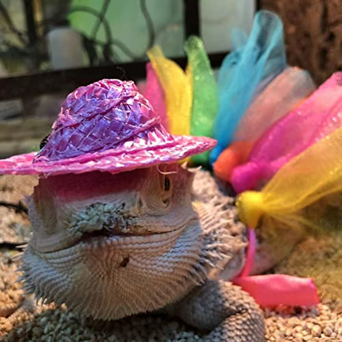 Ipetboom Bearded Dragon Costume Bearded Dragon Hat for Lizards Bearded Dragon Tutu Skirt Reptile Mini Deck Chair Small Pet Costume Outfits Clothes Photo Props for Lizards Geckos Hamsters Rats