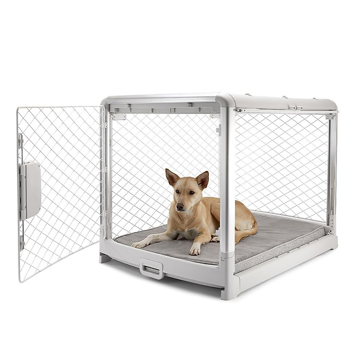 DIGGS Revol Collapsible Dog Crate with Wheels - Premium Portable Dog Crate - Safe, Stylish, and Convenient Indoor Kennel (Ash, Intermediate)