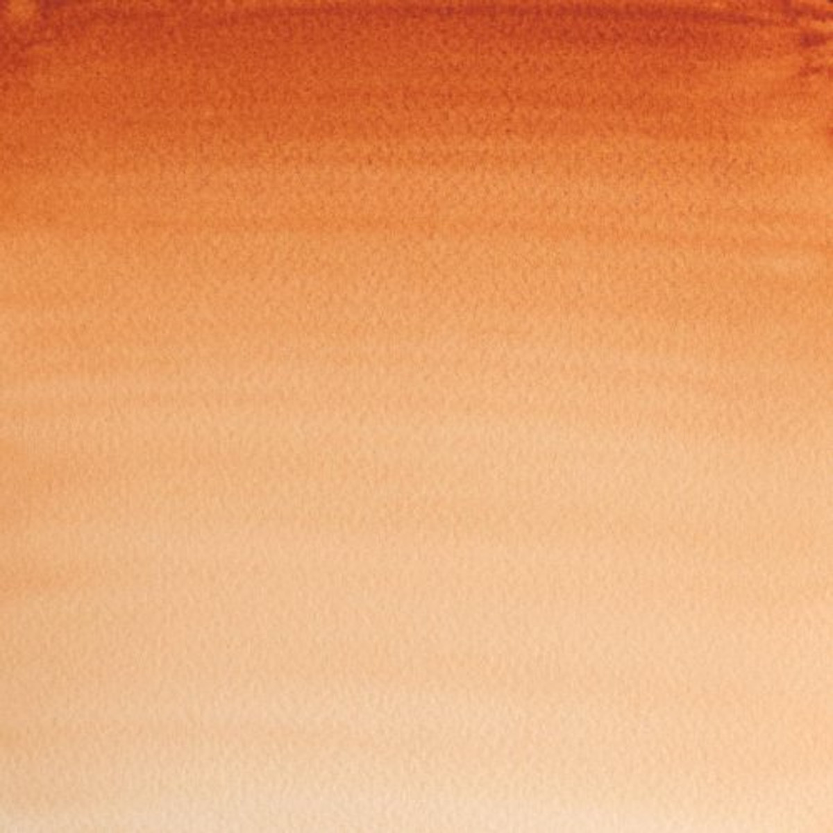 Winsor & Newton Professional Watercolor, 14ml (0.47-oz) Tube, Burnt Sienna