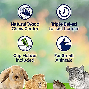 Vitakraft Guinea Pig Fruit & Honey Treat Sticks 2 Pack, 3.5 Ounce