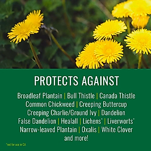 Natria 100532520 24 oz Bayer Lawn Weed & Disease Control, 1.5 Pounds, White