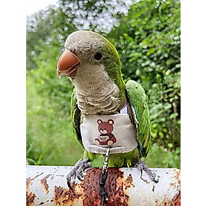 Bird Flight Harness Vest, Parrot Flight Suit with Leash for Parakeets Cockatiels, Bird Flying Clothes with Rope and Handle for Outdoor Activities Training (Bear with Leash,Medium)