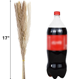 DEAYOU 65 PCS Natural Dried Pampas Grass, 17" Tall Dry Pampas Grass Branches for Boho Decor, Fluffy Pompous Reed Plants Stems Bundle for Flower Arrangements, Home Wedding Decor, 5 Styles